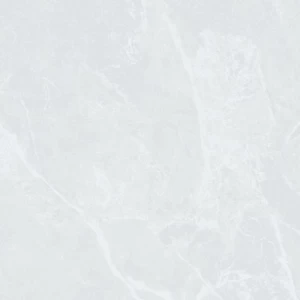 Shop Porcelain Floor Tiles Thickness 11 mm, Size 100x100 cm, Grey | Exa ...