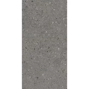 Shop Porcelain floor tiles Matt, Size 30x60 cm, Thickness 11 mm, Gray ...