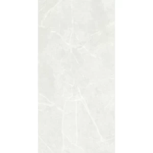 Shop Porcelain floor tiles, Size 30x60 cm, Thickness 11 mm, Silver ...